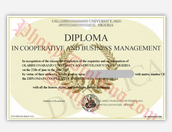 Fake Diploma Samples from Africa - PhonyDiploma.com