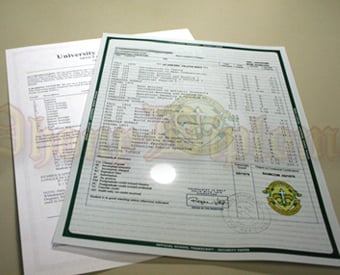 Phony Diploma - Fake Transcript Samples